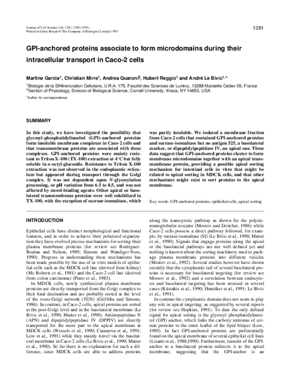 (PDF) GPI-anchored proteins associate to form microdomains during their ...