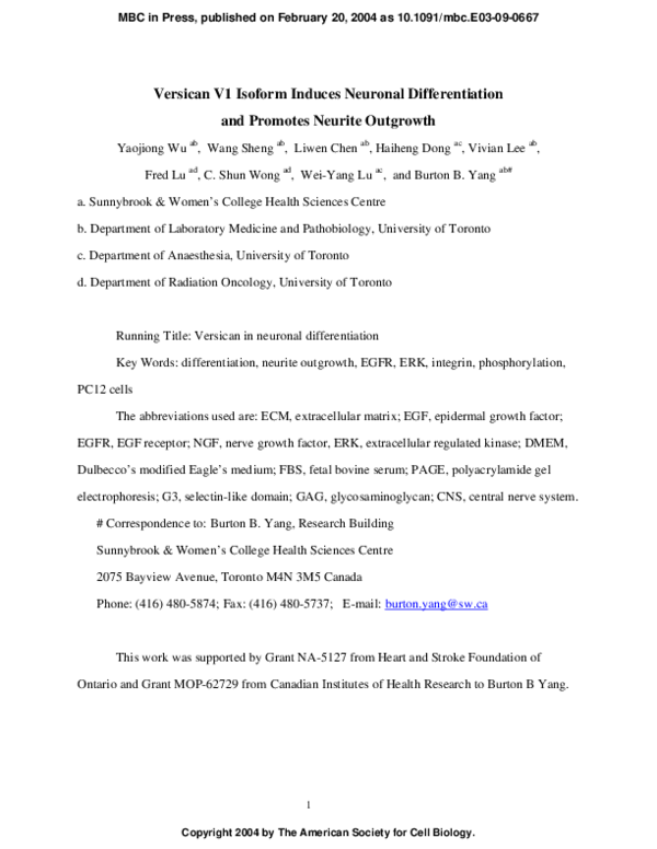 (PDF) Versican V1 Isoform Induces Neuronal Differentiation and Promotes ...
