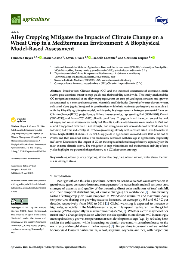 (PDF) Alley Cropping Mitigates the Impacts of Climate Change on a Wheat ...