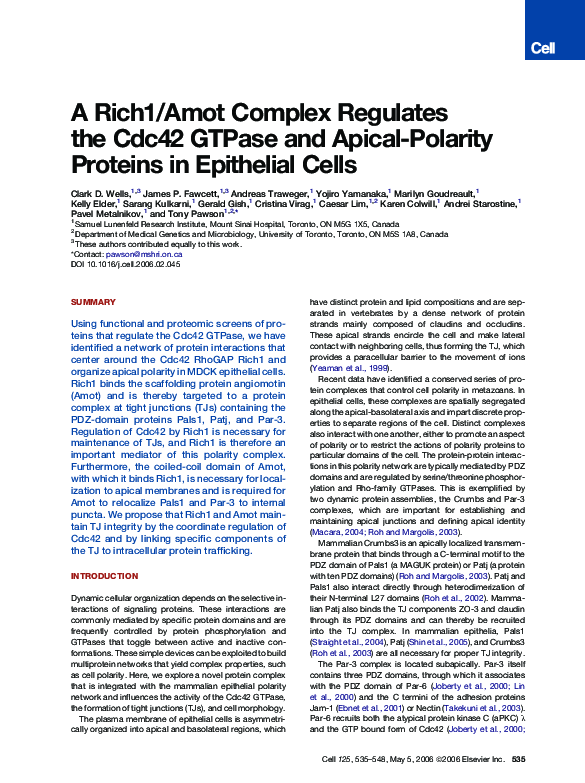 (PDF) A Rich1/Amot complex regulates the Cdc42 GTPase and apical ...