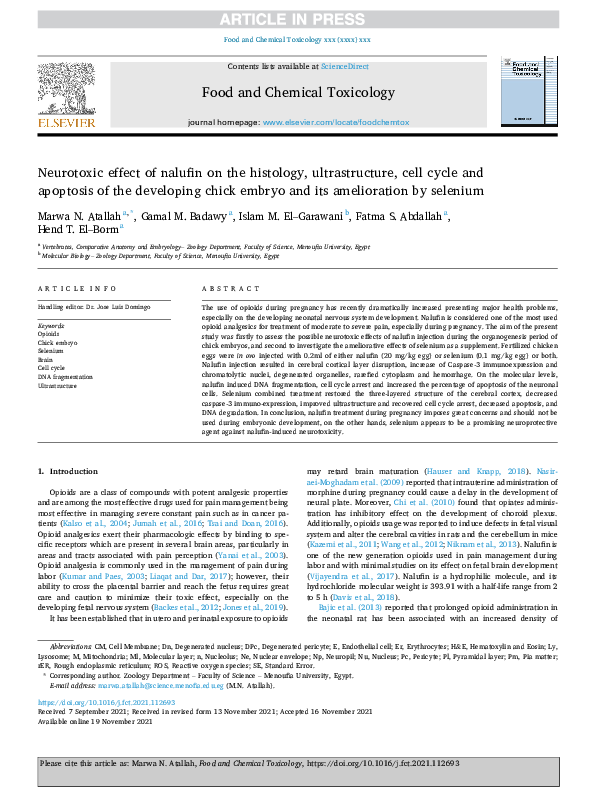 (PDF) Neurotoxic effect of nalufin on the histology, ultrastructure ...