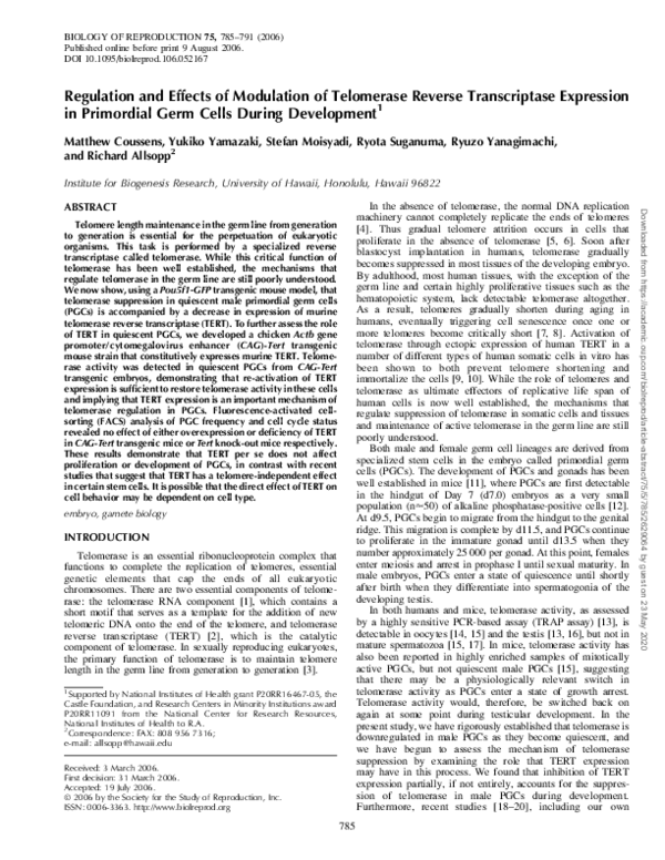 Pdf Regulation And Effects Of Modulation Of Telomerase Reverse