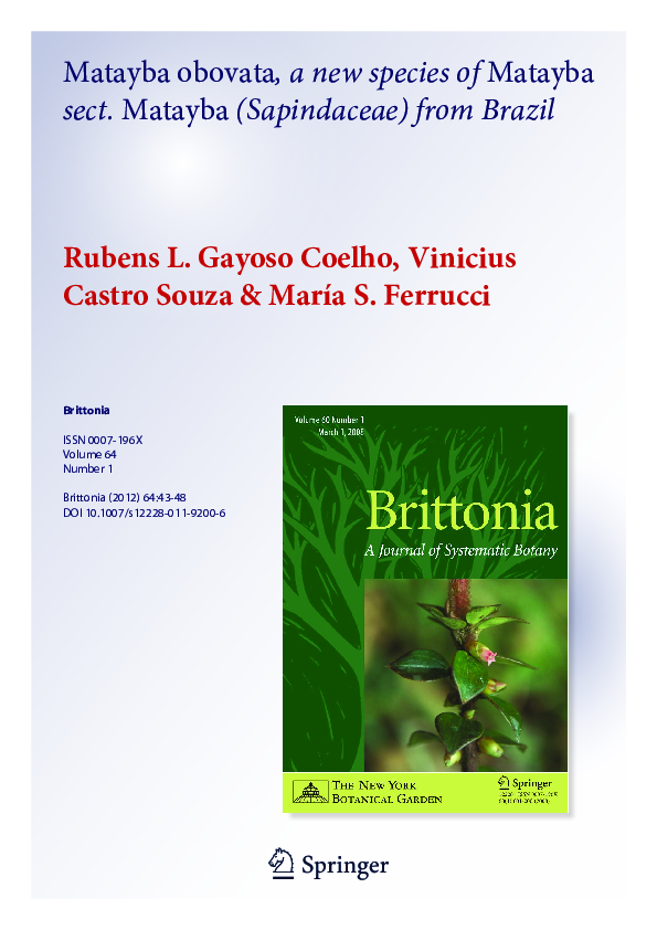 (PDF) Matayba obovata, a new species of Matayba sect. Matayba ...
