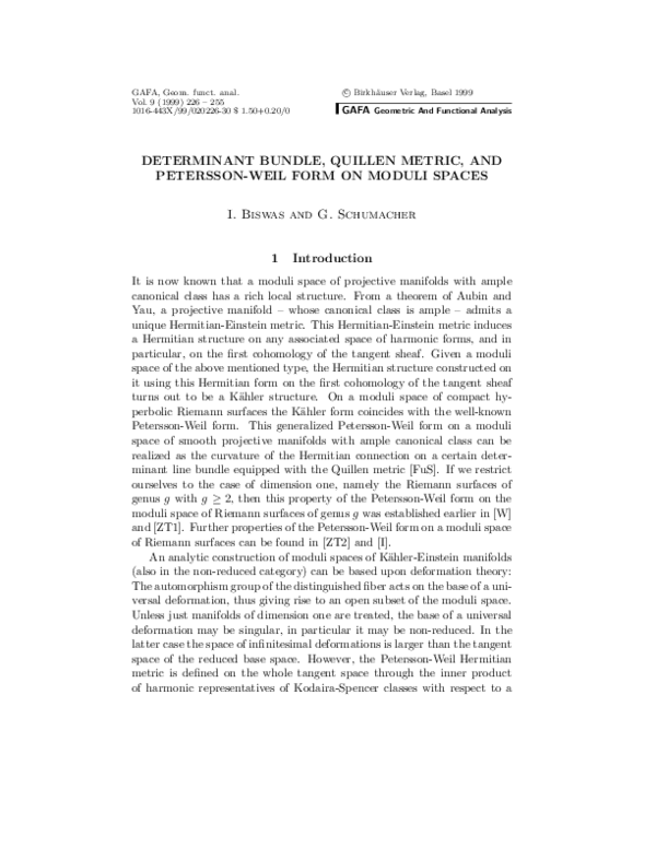 (PDF) Determinant Bundle, Quillen Metric, and Petersson-Weil Form on Moduli Spaces