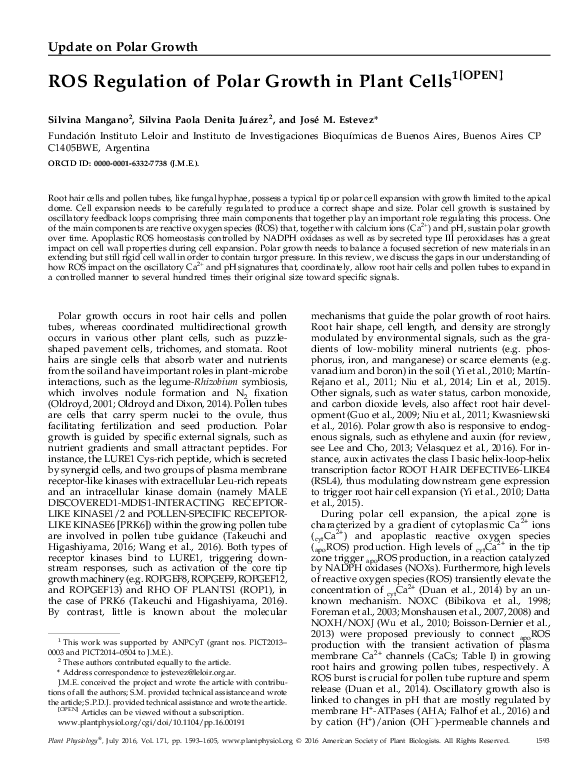 (PDF) ROS Regulation of Polar Growth in Plant Cells