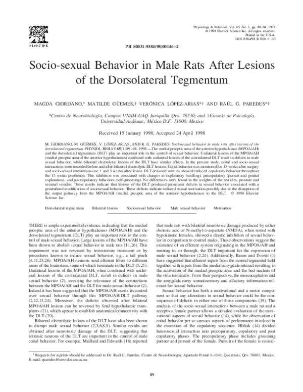 (PDF) Socio-sexual behavior in male rats after lesions of the ...