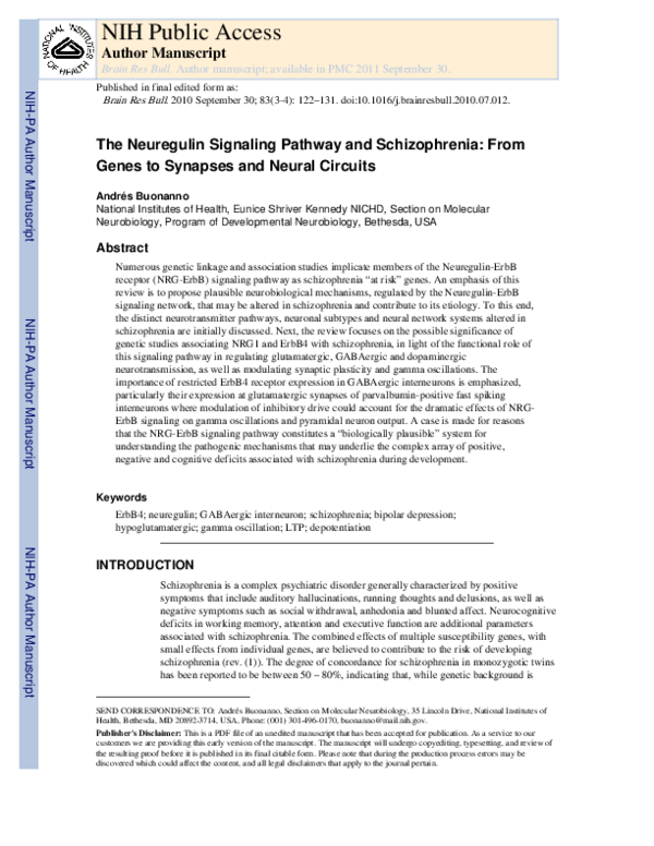 (PDF) The neuregulin signaling pathway and schizophrenia: From genes to ...