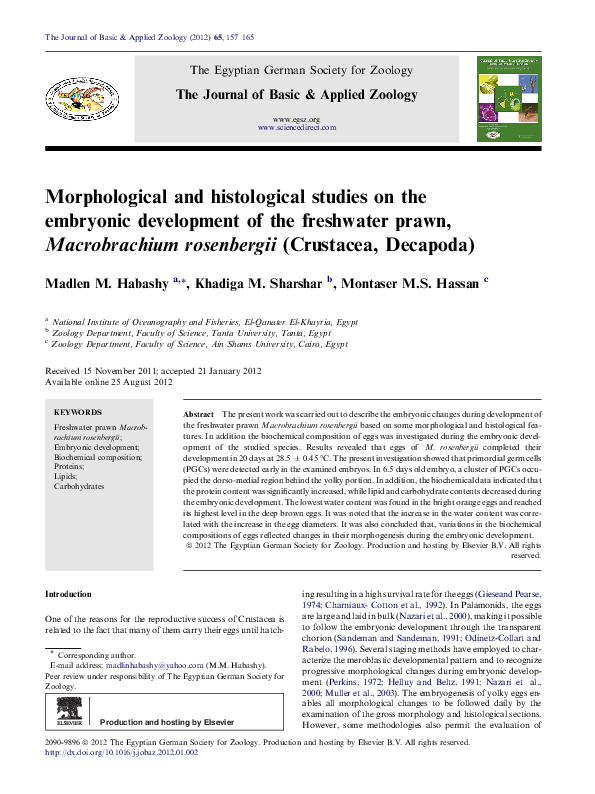 (PDF) Morphological and histological studies on the embryonic development of the freshwater ...