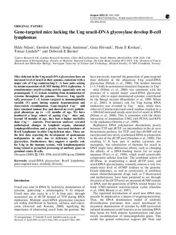 (PDF) Gene-targeted mice lacking the Ung uracil-DNA glycosylase develop ...