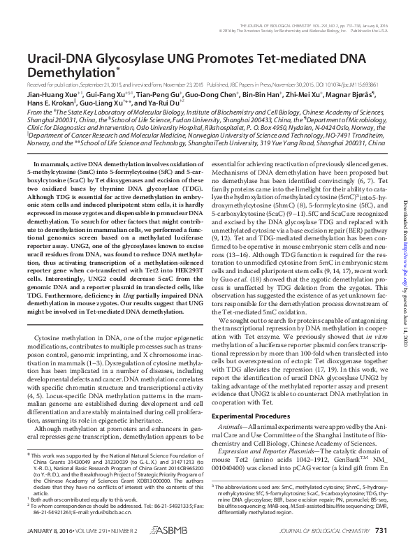 (PDF) Uracil-DNA glycosylase UNG promotes Tet-mediated DNA demethylation