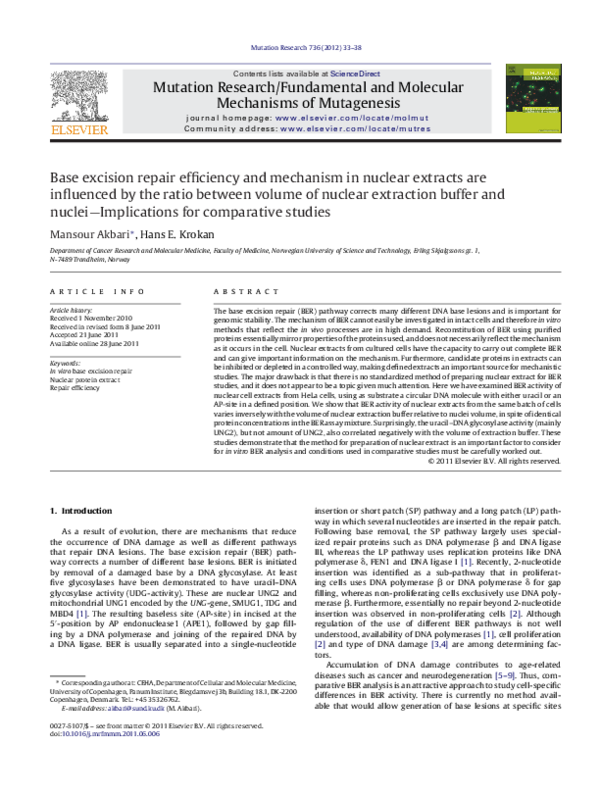 (PDF) Base excision repair efficiency and mechanism in nuclear extracts ...