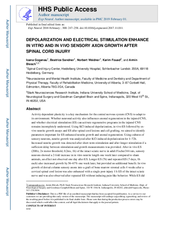 (PDF) Depolarization and electrical stimulation enhance in vitro and in ...