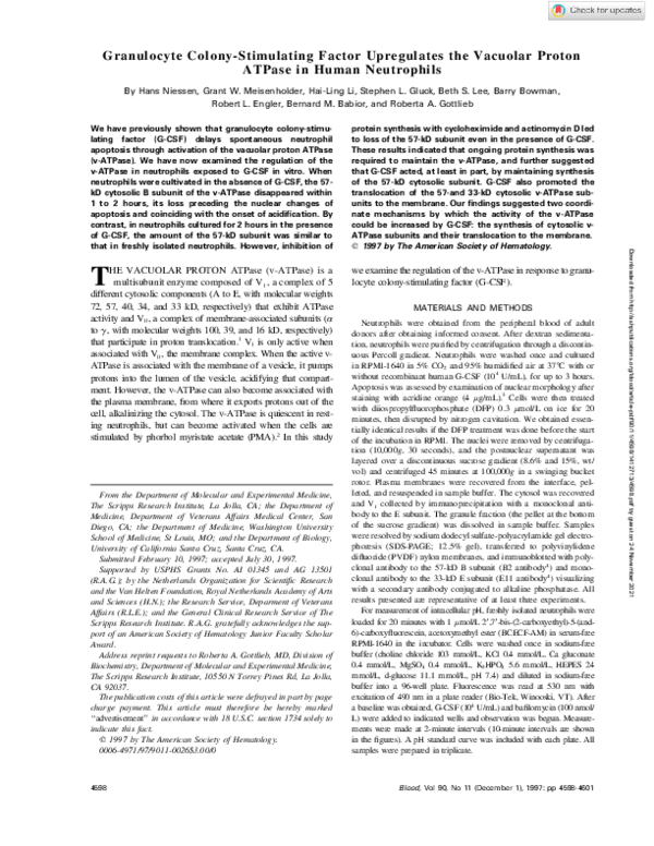 (PDF) G-CSF Enhances Proton ATPase in Human Neutrophils