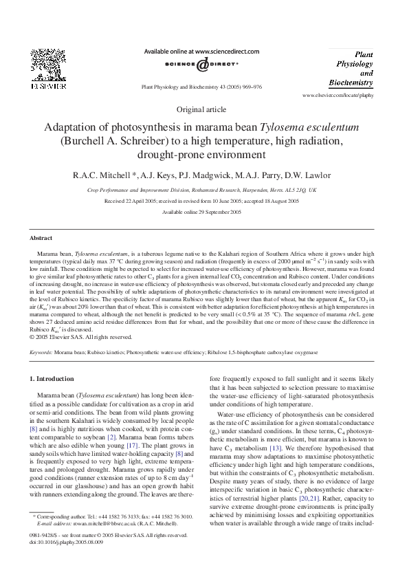 (PDF) Adaptation of photosynthesis in marama bean Tylosema esculentum ...
