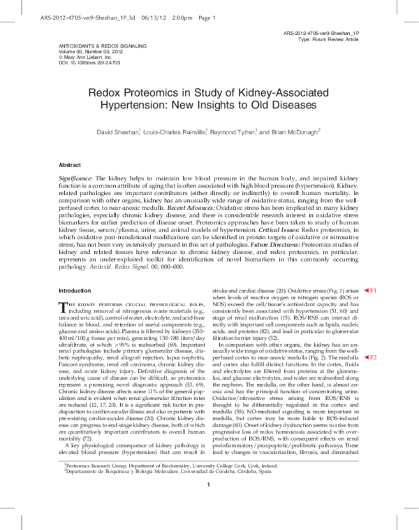 (PDF) Redox Proteomics in Study of Kidney-Associated Hypertension: New Insights to Old Diseases