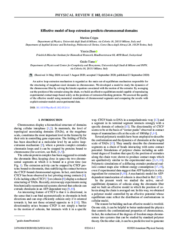 Pdf Effective Model Of Loop Extrusion Predicts Chromosomal Domains
