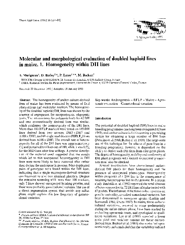 (PDF) Molecular and morphological evaluation of doubled haploid lines ...