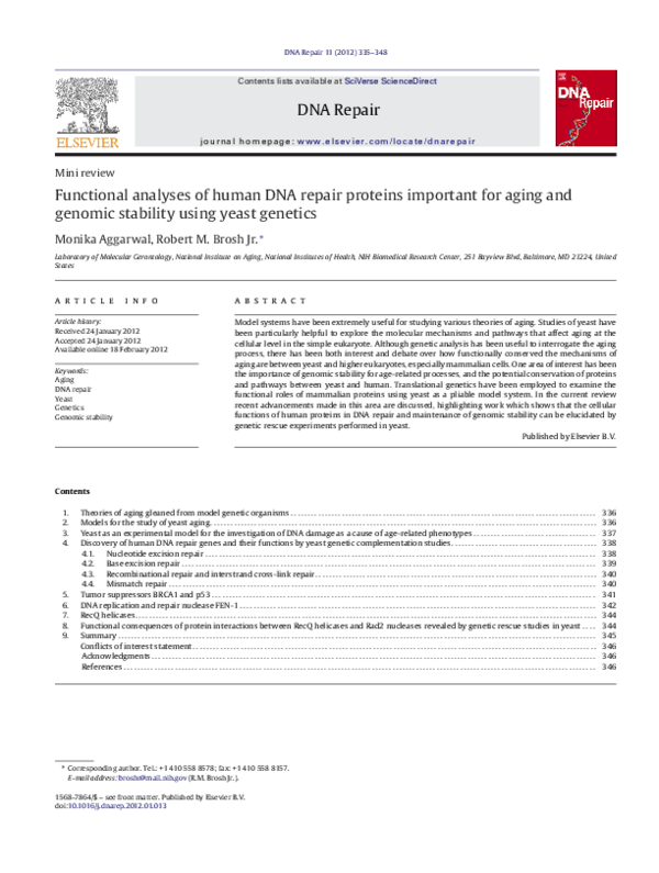 (PDF) Functional analyses of human DNA repair proteins important for ...