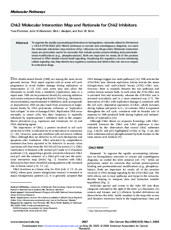 (PDF) Chk2 Molecular Interaction Map and Rationale for Chk2 Inhibitors