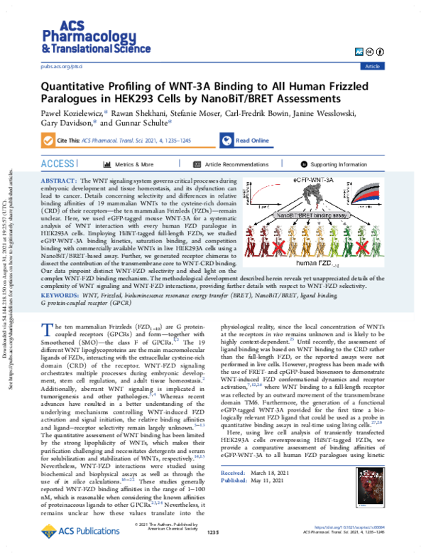 (PDF) Quantitative Profiling of WNT-3A Binding to All Human Frizzled ...
