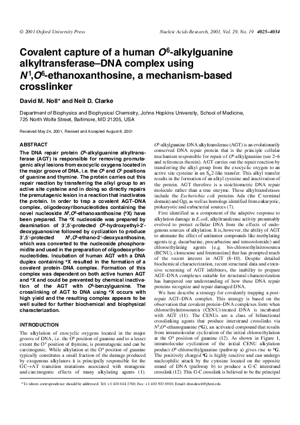 (PDF) Covalent capture of a human O(6)-alkylguanine alkyltransferase ...