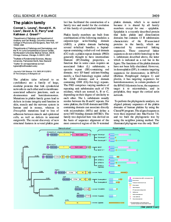 (PDF) The plakin family