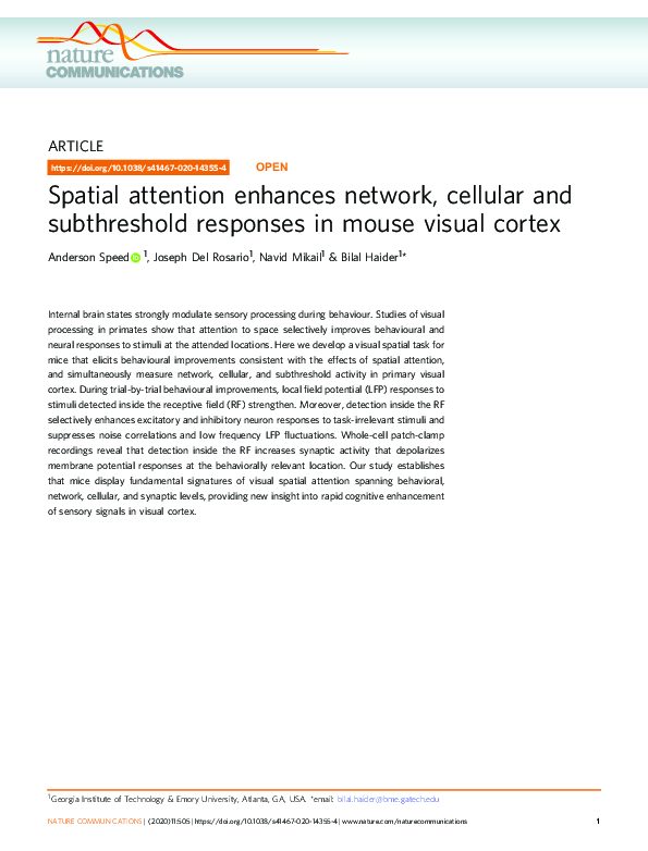 (PDF) Spatial attention enhances network, cellular and subthreshold responses in mouse visual cortex
