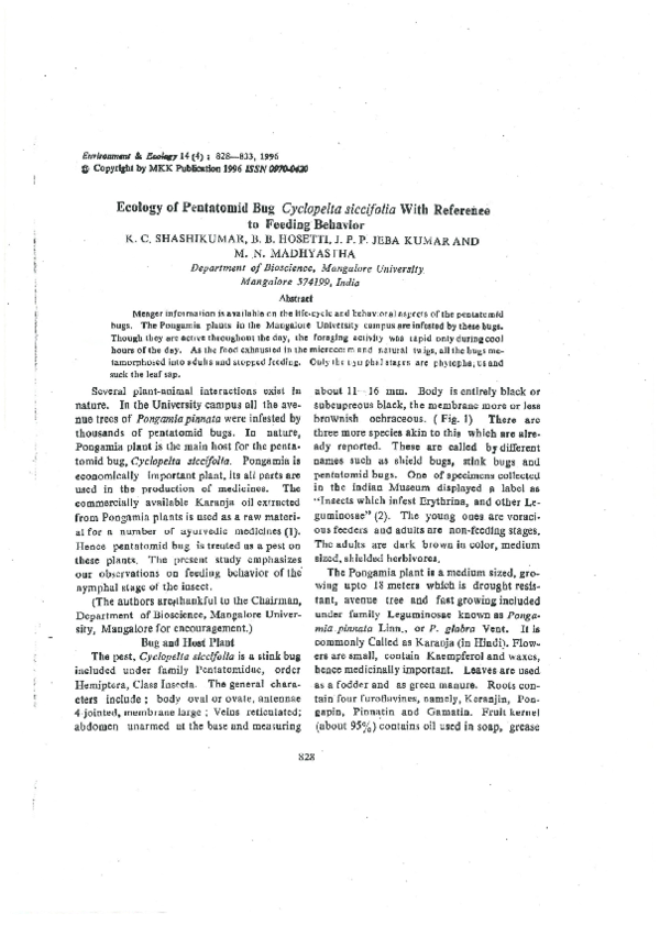 (PDF) Ecology of Pentatomid Bug Cyclopelta siccifolia With Referenee to ...