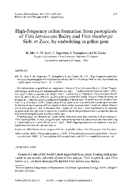 (PDF) High-frequency callus formation from protoplasts of Vitis ...