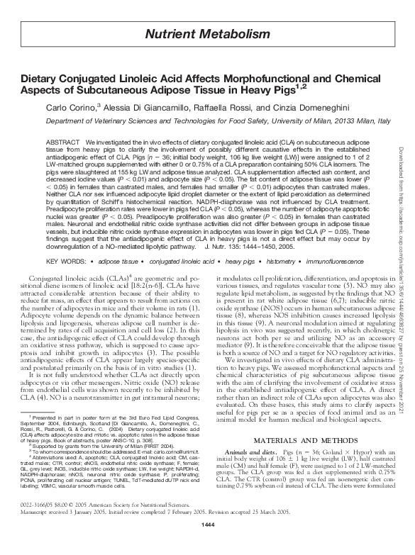 (PDF) Dietary conjugated linoleic acid affects morphofunctional and chemical aspects of ...