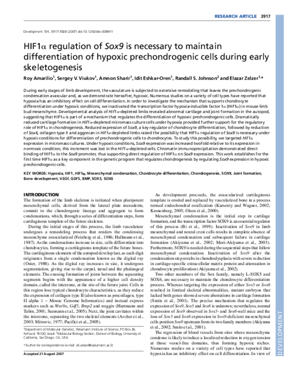 (PDF) Amarilio, R, Viukov, SV, Sharir, A, Eshkar-Oren, I, Johnson, RS ...