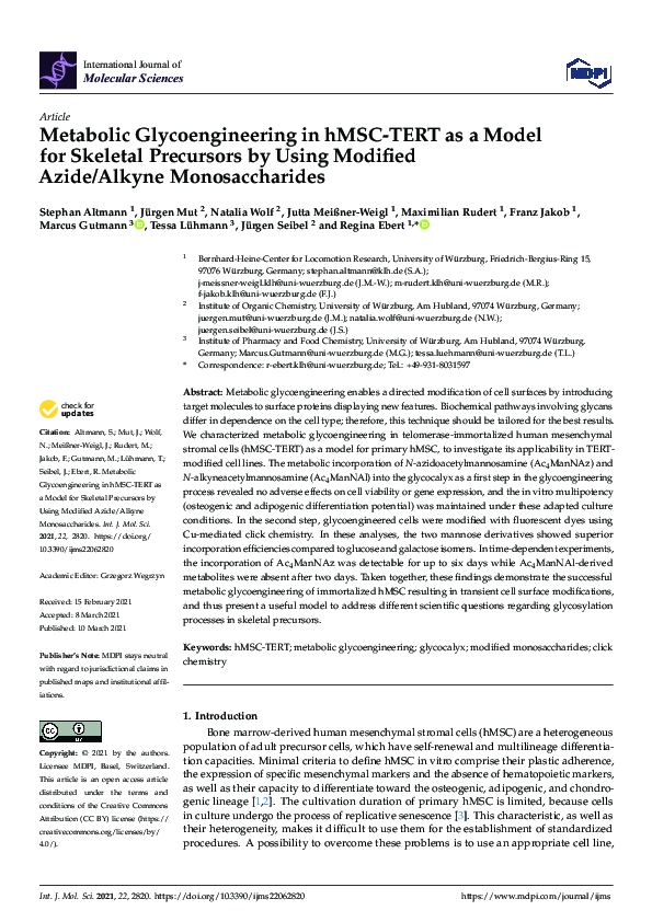 (PDF) Metabolic Glycoengineering in hMSC-TERT as a Model for Skeletal ...