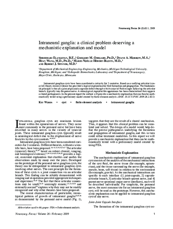 (PDF) Intraneural ganglia: a clinical problem deserving a mechanistic ...