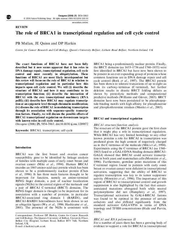 (PDF) The role of BRCA1 in transcriptional regulation and cell cycle ...