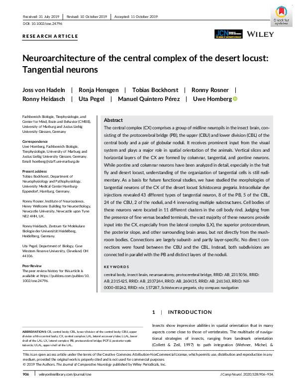 (PDF) Neuroarchitecture of the central complex of the desert locust ...