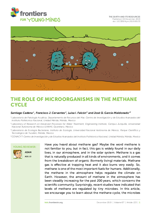 (PDF) The Role of Microorganisms in the Methane Cycle