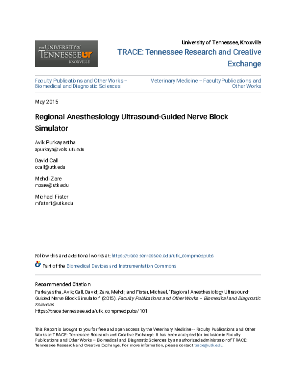 (PDF) Regional Anesthesiology Ultrasound-Guided Nerve Block Simulator