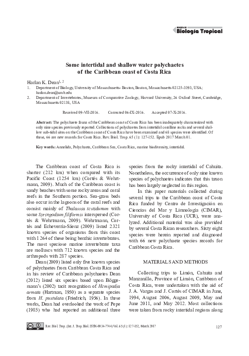 (PDF) Some intertidal and shallow water polychaetes of the Caribbean ...