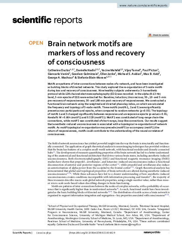 (PDF) Brain network motifs are markers of loss and recovery of ...
