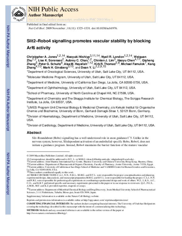 (PDF) Slit2–Robo4 signalling promotes vascular stability by blocking ...