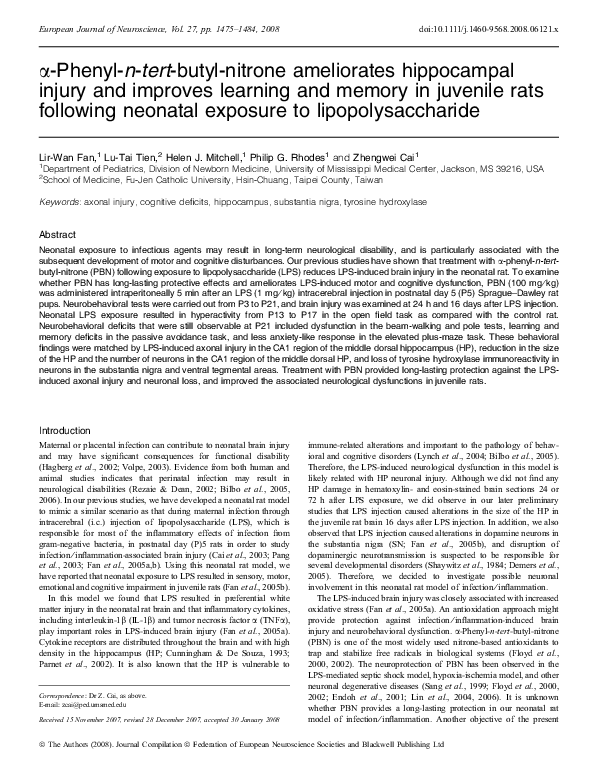 (PDF) α-Phenyl-n-tert-butyl-nitrone ameliorates hippocampal injury and ...