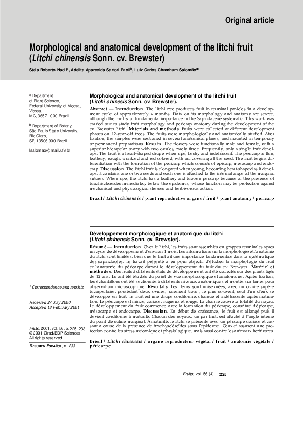 Pdf Morphological And Anatomical Development Of The Litchi Fruit