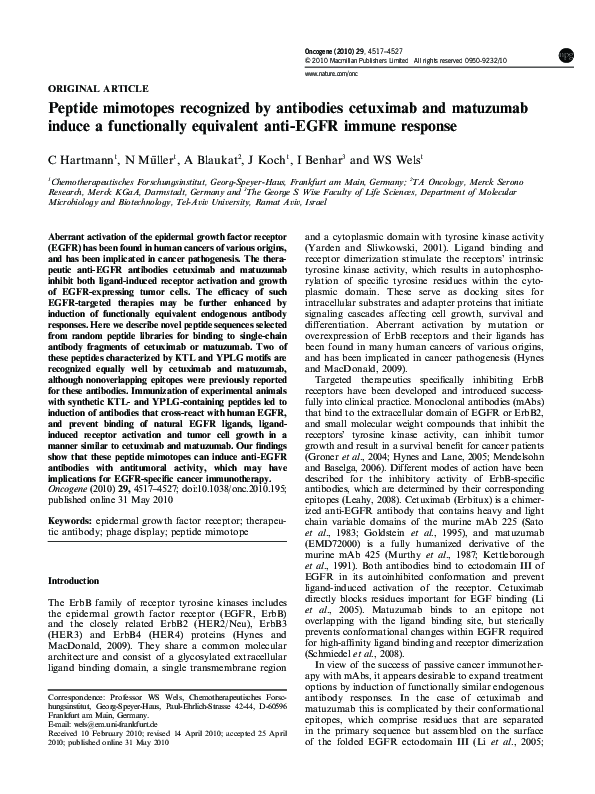 (PDF) Peptide mimotopes recognized by antibodies cetuximab and ...