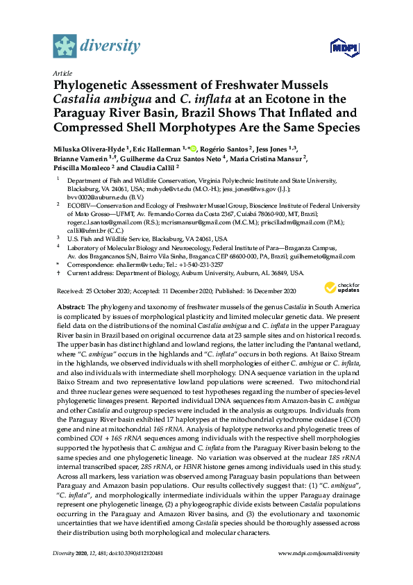 (PDF) Phylogenetic Assessment of Freshwater Mussels Castalia ambigua ...