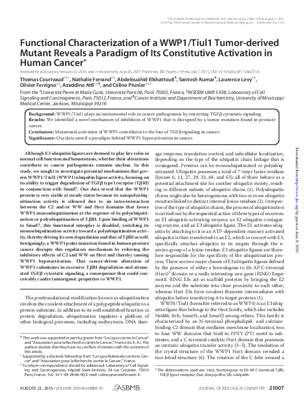 (PDF) Functional characterization of a WWP1/Tiul1 tumor-derived mutant ...
