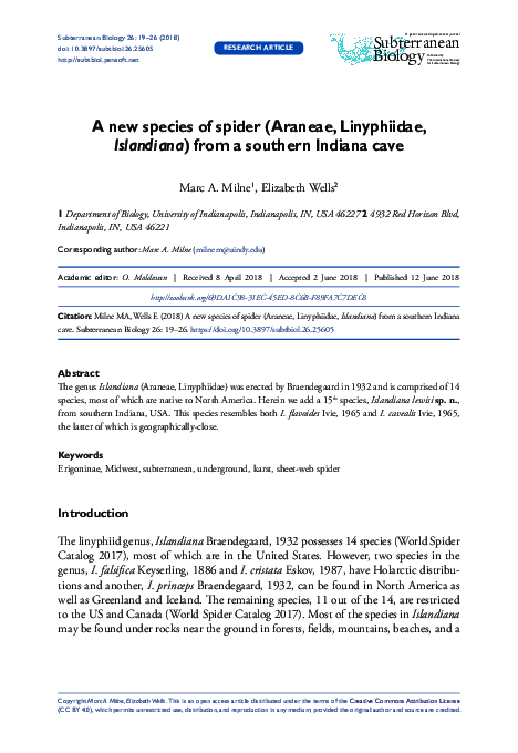 (PDF) Figure 2 from: Milne MA, Wells E (2018) A new species of spider ...