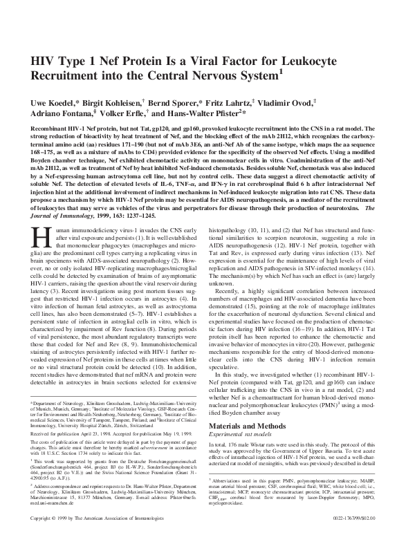 (PDF) HIV type 1 Nef protein is a viral factor for leukocyte ...