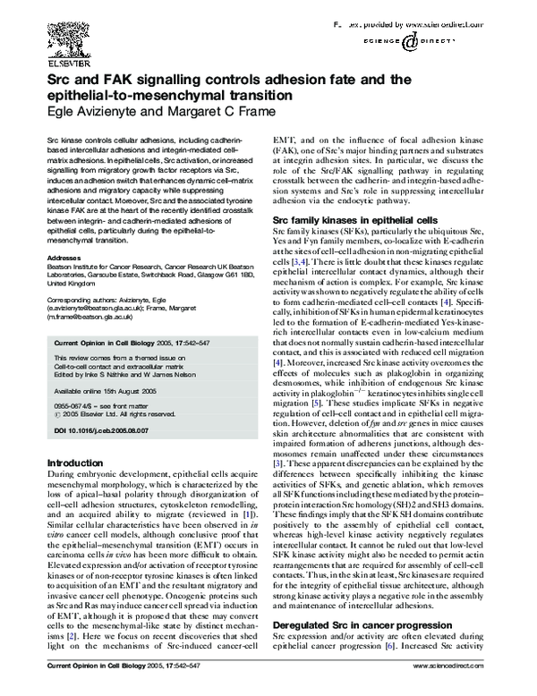 (PDF) Src and FAK signalling controls adhesion fate and the epithelial ...