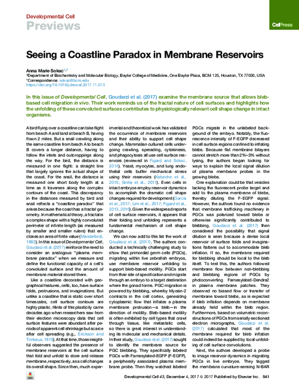 (PDF) Seeing a Coastline Paradox in Membrane Reservoirs | Anna Sokac ...