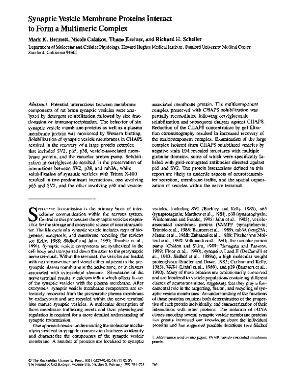 (PDF) Synaptic vesicle membrane proteins interact to form a multimeric ...